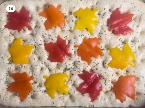 Fall Focaccia with Bell Pepper "Maple Leaves"